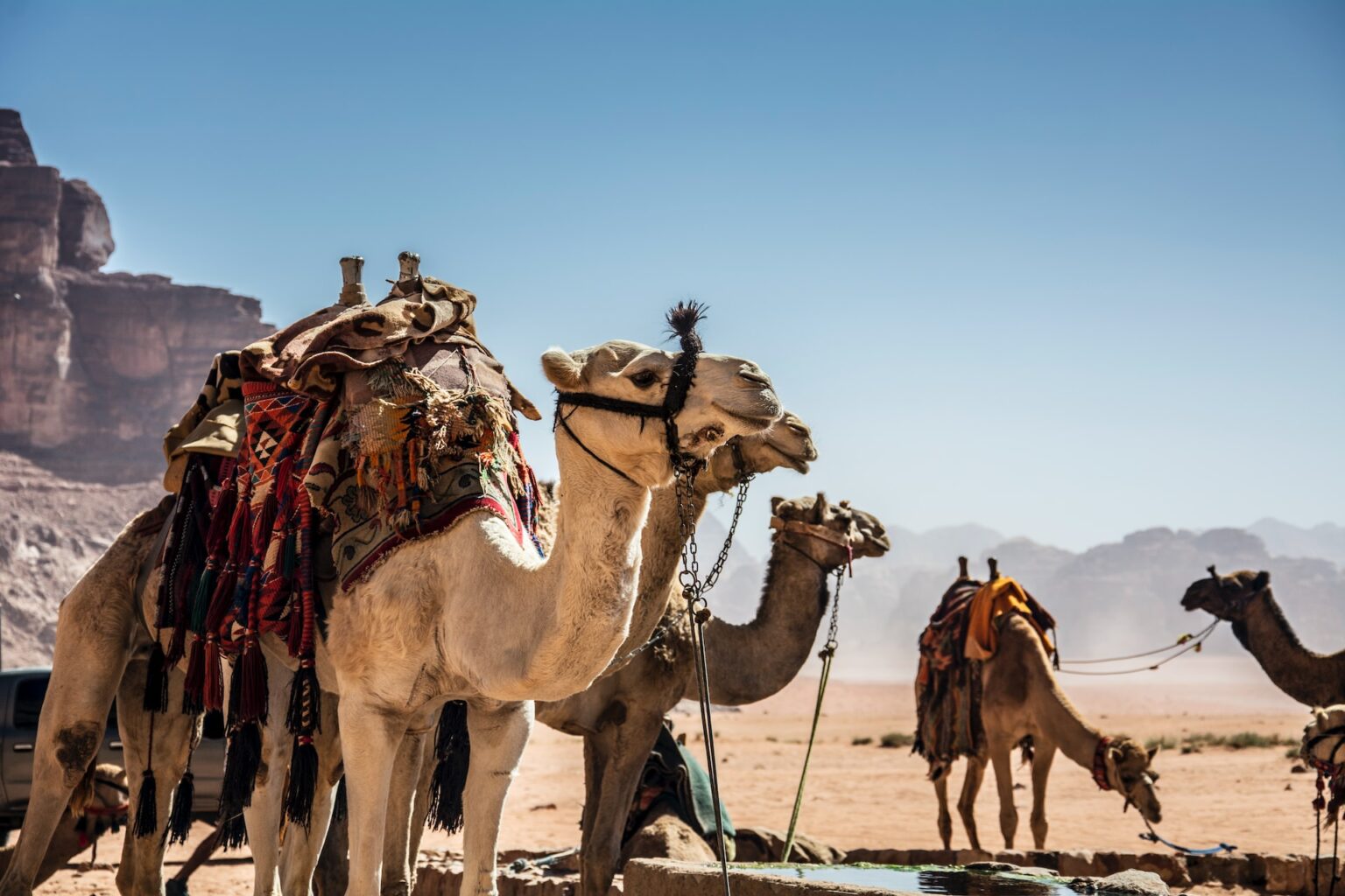 What You Need to Know About Currency in Jordan